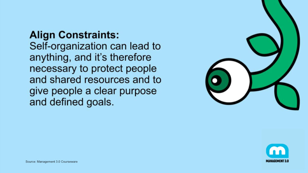 Self-Organizing Teams | Management 3.0
