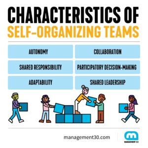 Self-Organizing Teams | Management 3.0