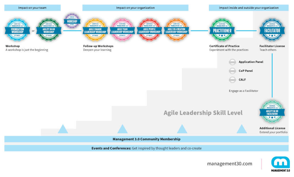 Management Skills: Effective Leadership for Agile Managers - Management 3.0